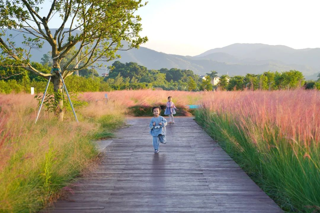 Dapeng Ancient City | Historic Ming Dynasty Site in Shenzhen